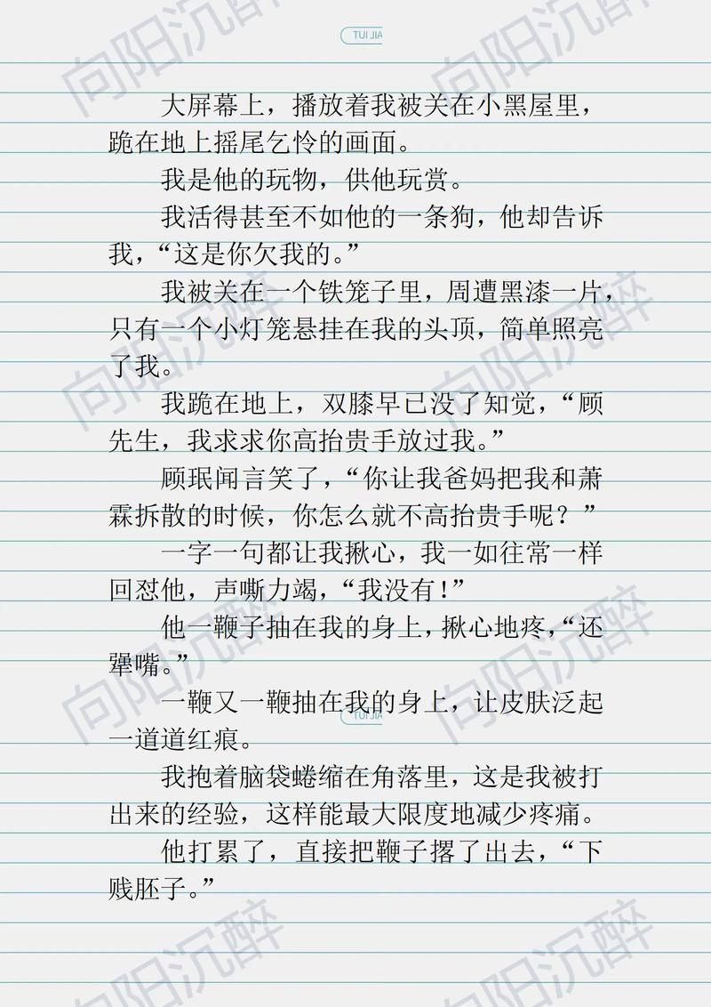 福特小说文学区图标
