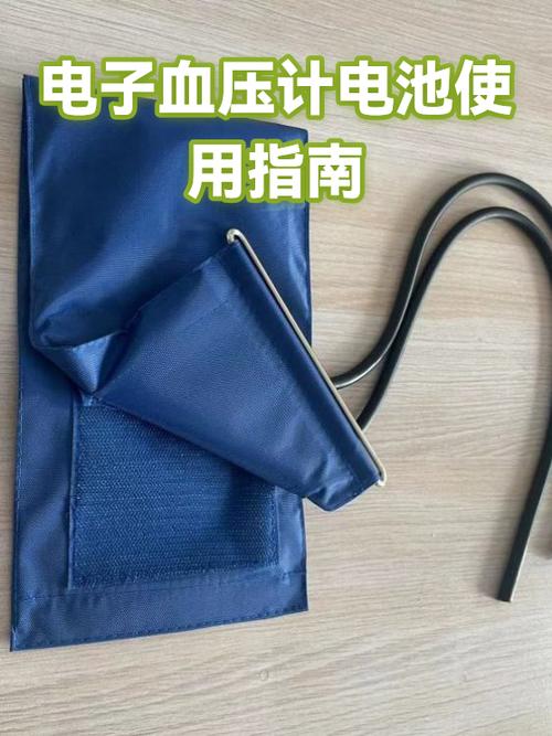 电子血压计用电池准还是插电准游戏截图