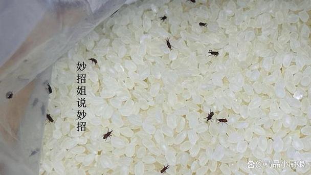 听听米app官方下载图标