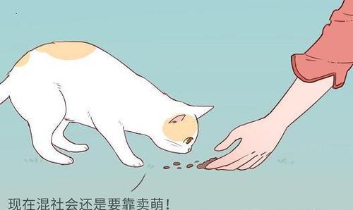 流浪猫漫画图标