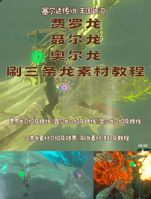 龙血一族怎么通关截图