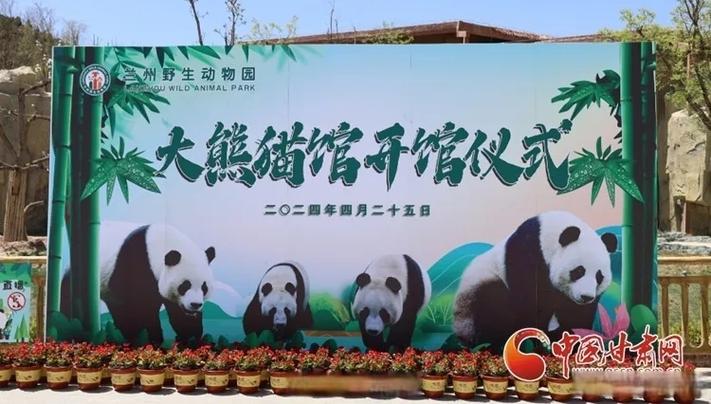 怎么驯服野生熊猫截图