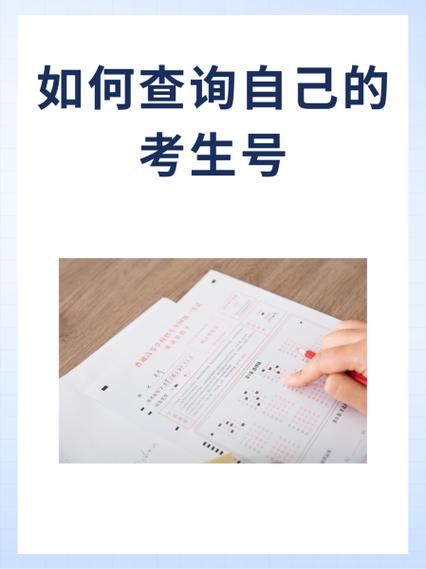考生号查询图标