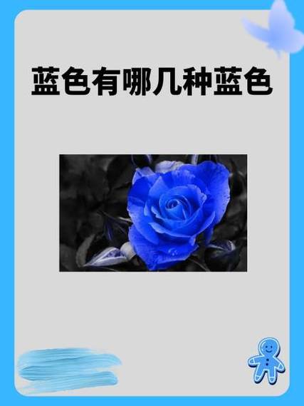 十二种蓝色的图片图标