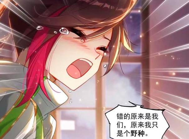 轩宇的身世之谜截图