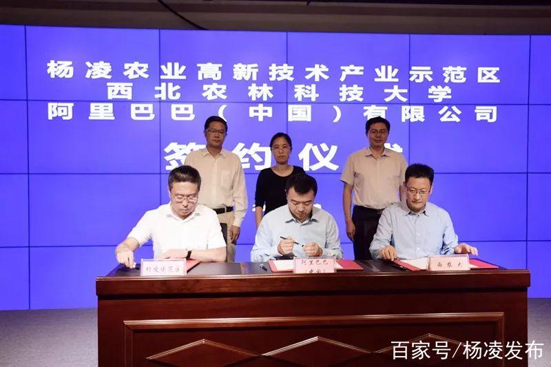 阿里巴巴第三方签约截图