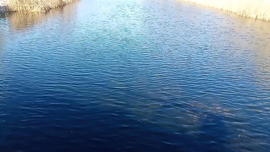 水连天天连水图标