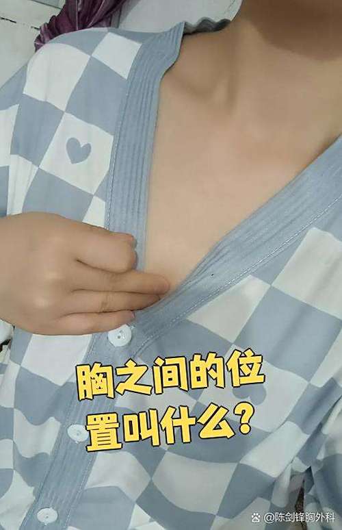 胸位位置示意图图标