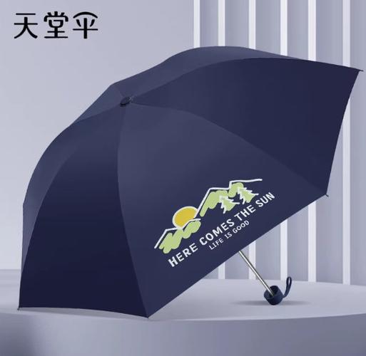 天堂牌雨伞多少钱一把图标