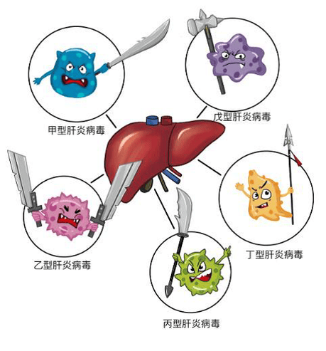 通过血液传播的病毒性肝炎有图标