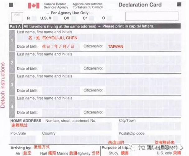 入境出境英文图标