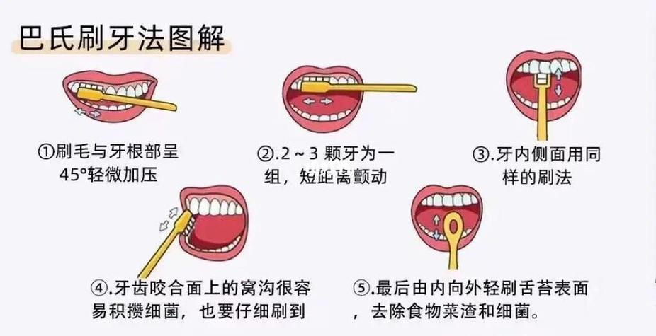 正确刷牙齿的方法视频教程游戏截图