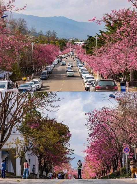 樱花校园的隐藏建筑图标
