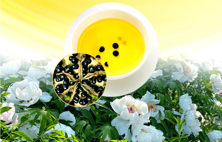牡丹籽油怎么用图标
