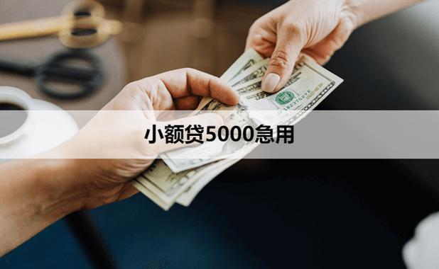 小额贷款5000急用图标