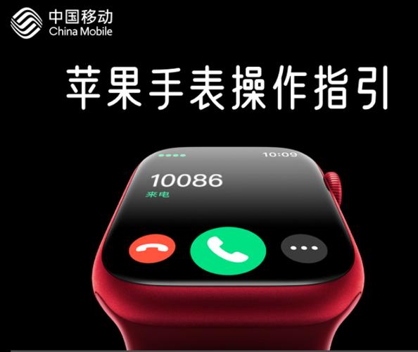 苹果手表一号双终端连接不上图标