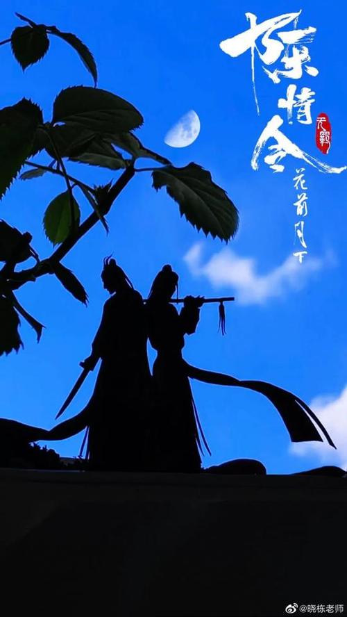 天涯一曲共悠扬截图