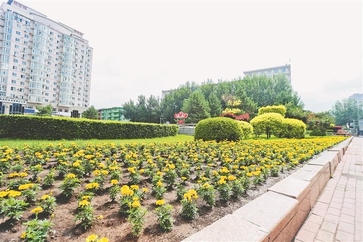 美化净化截图