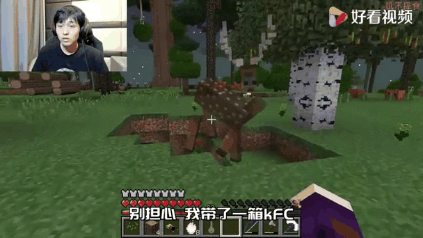 我的世界阿木木历枪图标