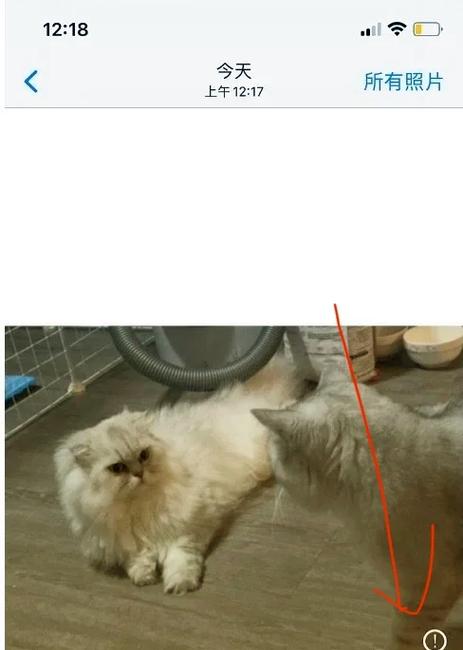 苹果相册叹号恢复不了图标