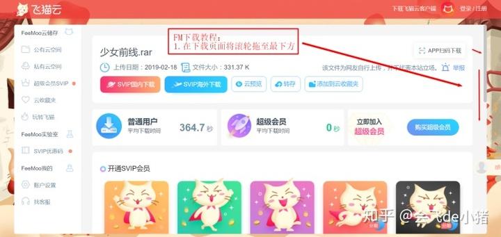 飞猫云官网网页登录入口图标