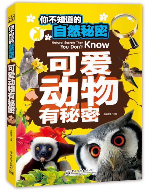 不知道的秘密截图