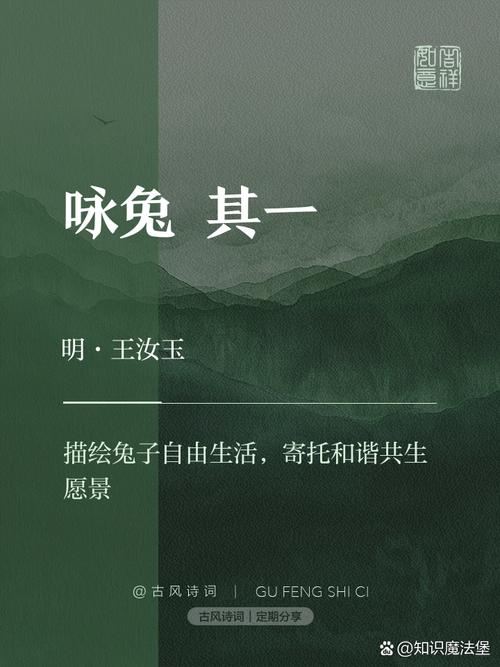 有兔免费阅读岳风图标