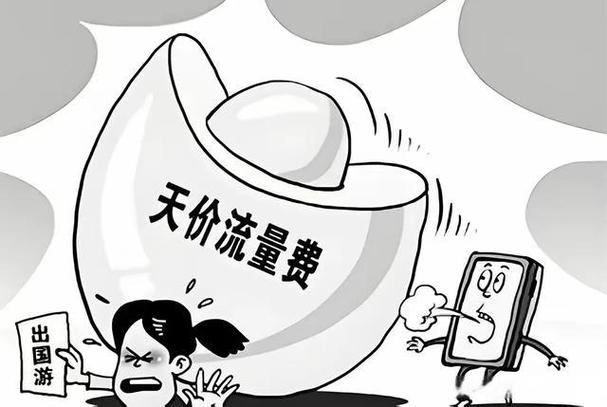 有流量为什么扣上网费图标