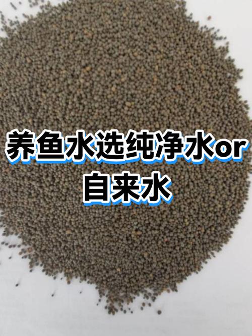 养鱼用净化水好还是自来水图标
