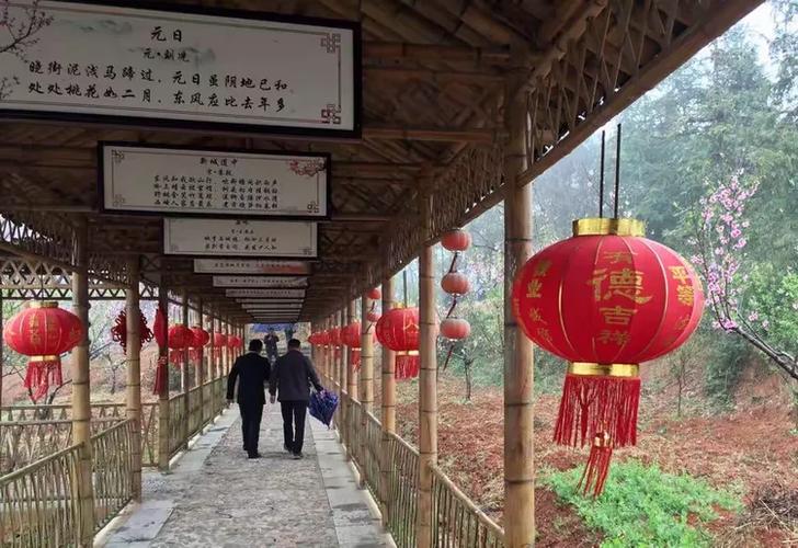 乡村美好全文免费阅图标