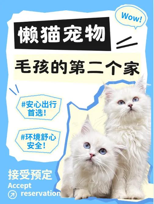 懒猫吧安全吗截图
