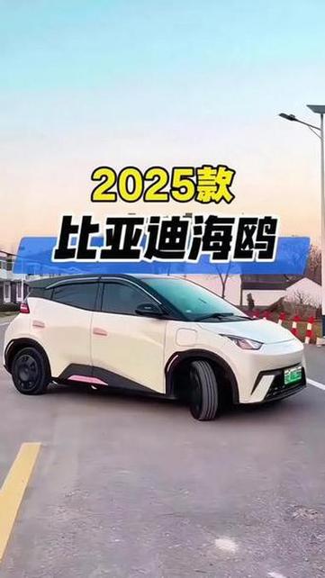 小海鸥新能源汽车2025款图片及价格