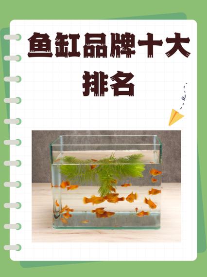 鱼缸哪个品牌质量最好图标