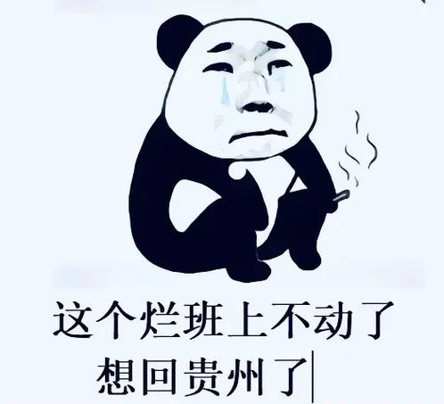 贵州骂人方言骂人图标