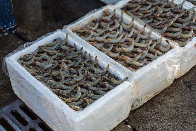 海鲜怎么邮寄新鲜图标