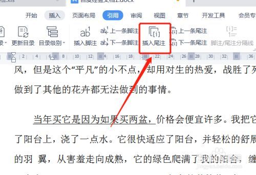 word修改尾注样式截图