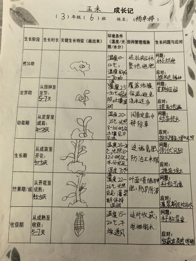向日葵妈妈怎么加入挣佣金图标