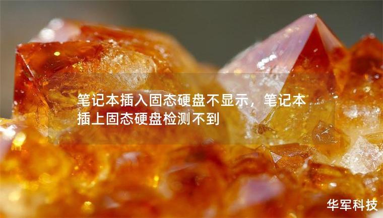 插上固态硬盘检测不到图标