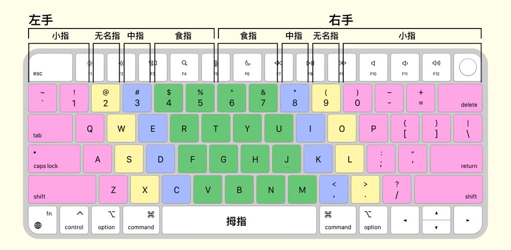 打字训练图标