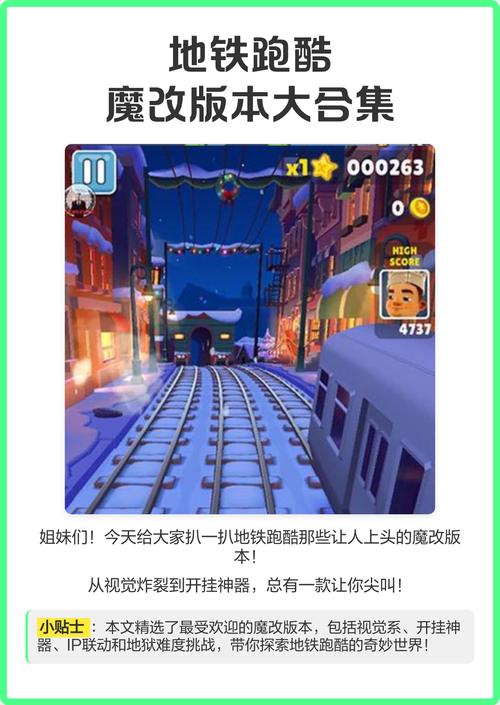 地铁跑酷魔改HC版本图标