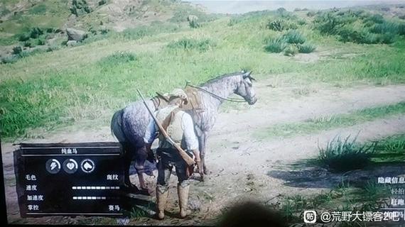荒野大镖客2PC版怎么抓马