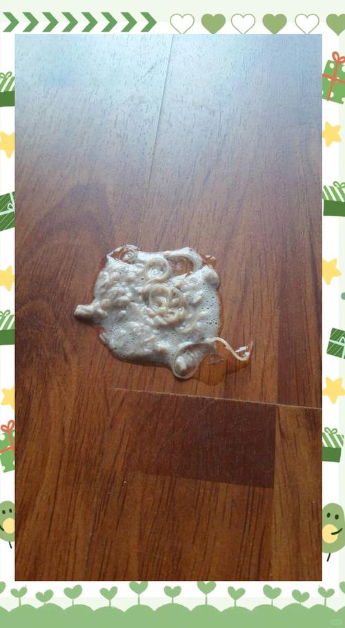 猫瘟吐和正常吐的区别图标