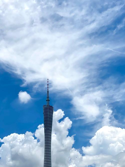 上古卷轴5尸鬼病怎么治图标