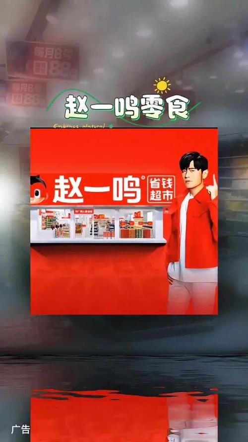 赵一鸣零食价目表截图