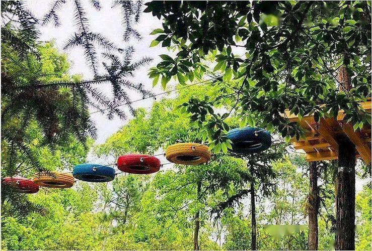 《布谷鸟》儿童版图标