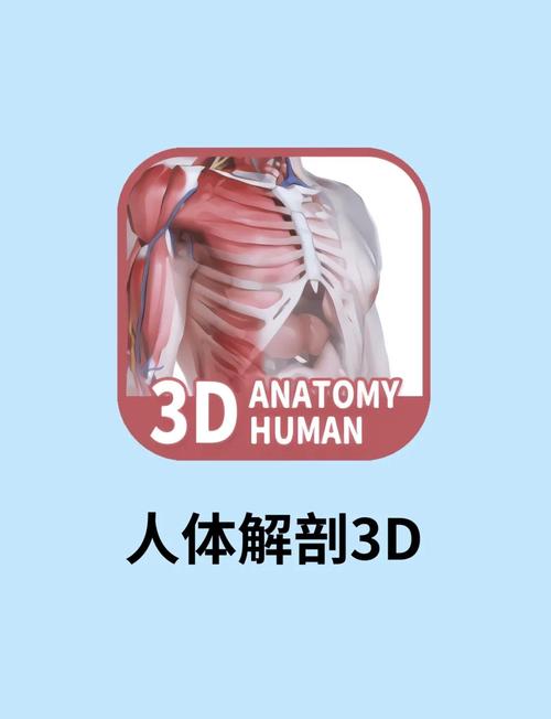 3dbody怎么玩图标