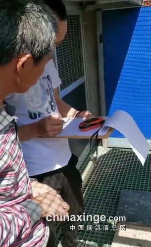 手机怎样测量信鸽空距截图