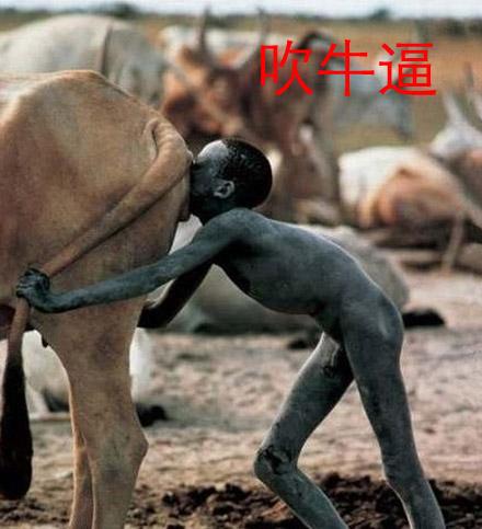 史上最牛的笑话图标