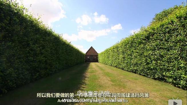 艾伦的花园秘密