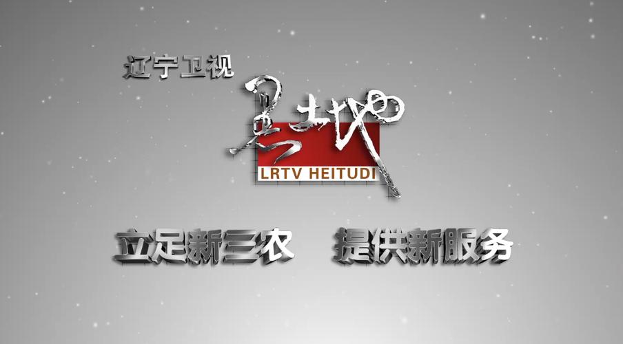 辽宁卫视网络电视图标